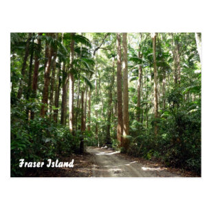 Rainforest Postcards | Zazzle AU