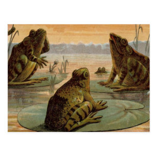 Vintage Frog Postcards | Zazzle AU
