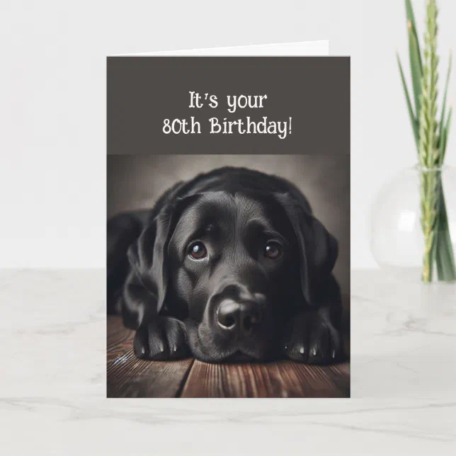Funny 80th Birthday, Labrador Retriever Card | Zazzle