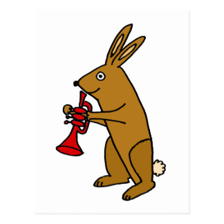 Funny Rabbit Postcards | Zazzle.com.au