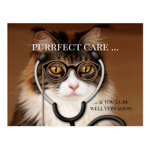 Funny Cat Get Well Cards - Well Wishes Cards | Zazzle.com.au