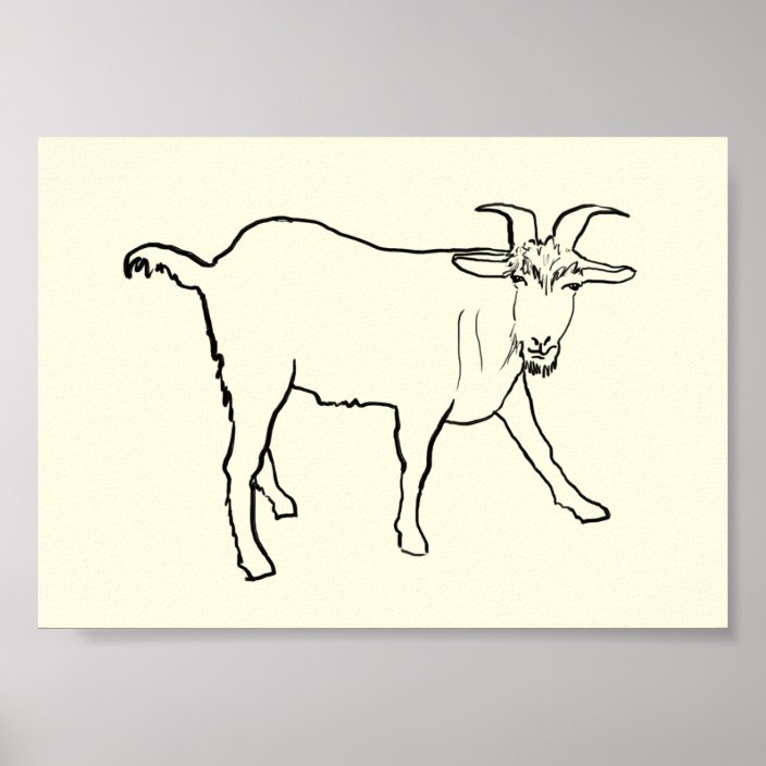 Funny Goat Drawing Quirky Cartoon Farm Animal Art Poster | Zazzle.com.au