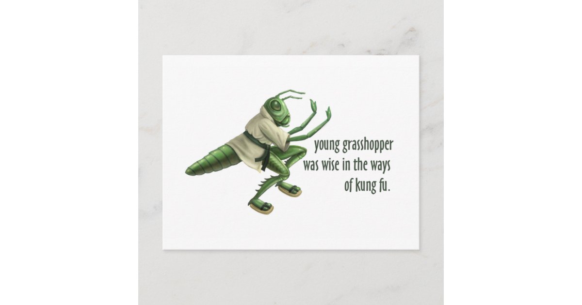 Funny Kung Fu Grasshopper Postcard | Zazzle