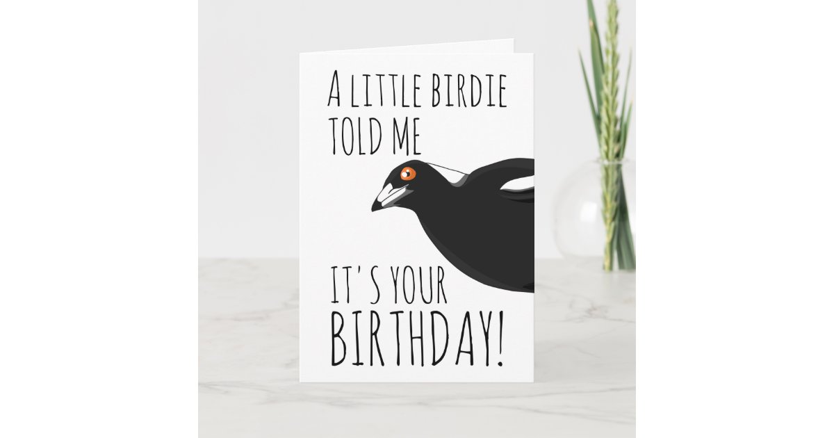 Funny magpie birthday card | Zazzle