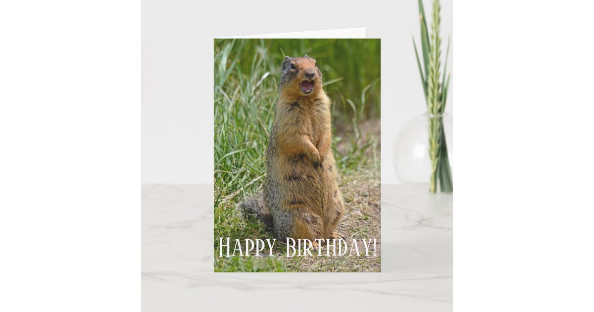 Funny screaming gopher card | Zazzle.com.au