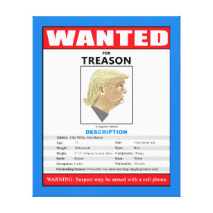 Funny Donald Trump Posters & Photo Prints | Zazzle AU