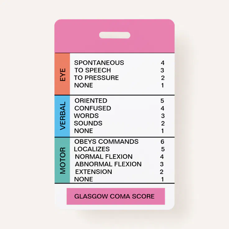 GCS/Consciousness Cheat Sheet for Badge Reel ID Badge | Zazzle
