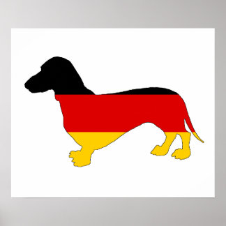 Dachshund Posters | Zazzle.com.au