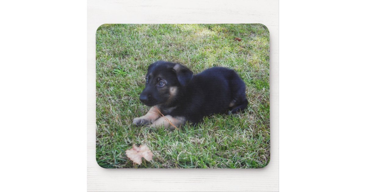 German Shepherd Puppy Mouse pad | Zazzle