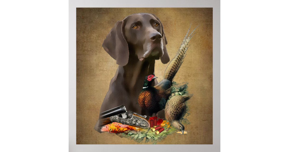 German Shorthaired Pointer GSP Poster | Zazzle