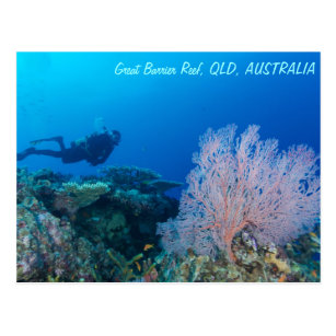 Great Barrier Reef Postcards | Zazzle AU