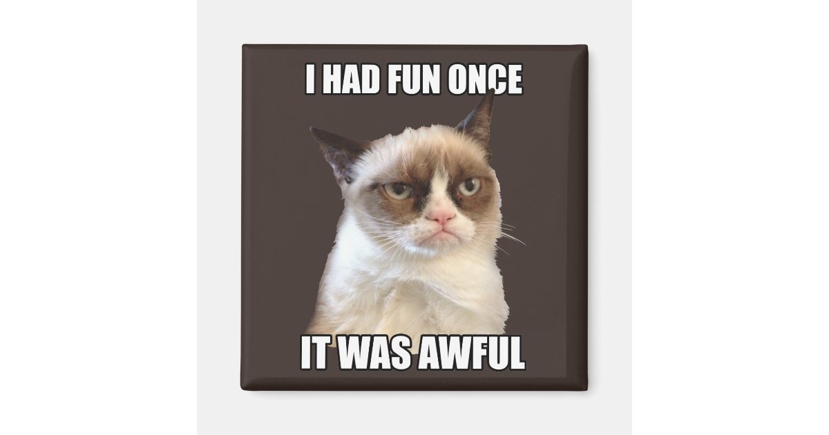 Grumpy Cat - I had fun once Magnet | Zazzle