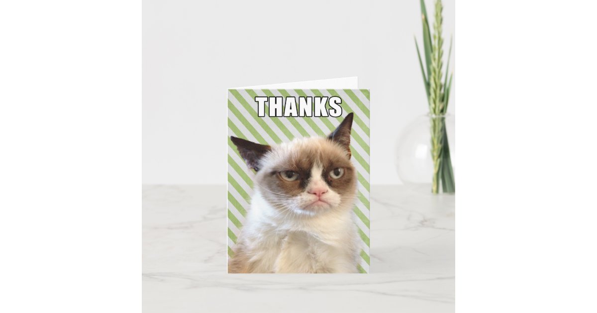 Grumpy Cat™ Thank You Card | Zazzle