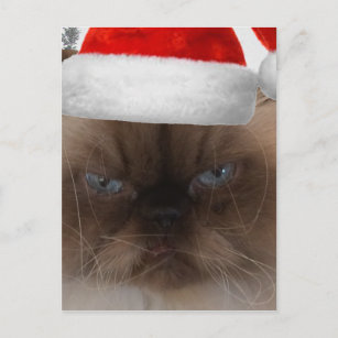 Grumpy Cat Cards | Zazzle AU
