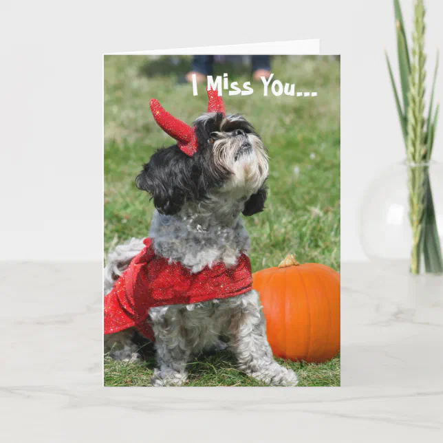 Halloween Shih Tzu dog Card | Zazzle