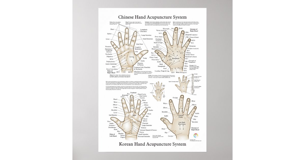 Hand Acupuncture Points Therapy Poster | Zazzle