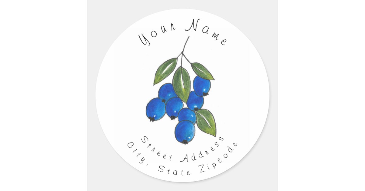 Hand Drawn Blueberries Classic Round Sticker | Zazzle