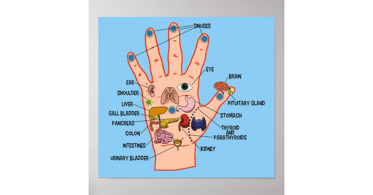 Hand Reflexology 13x12" Poster | Zazzle