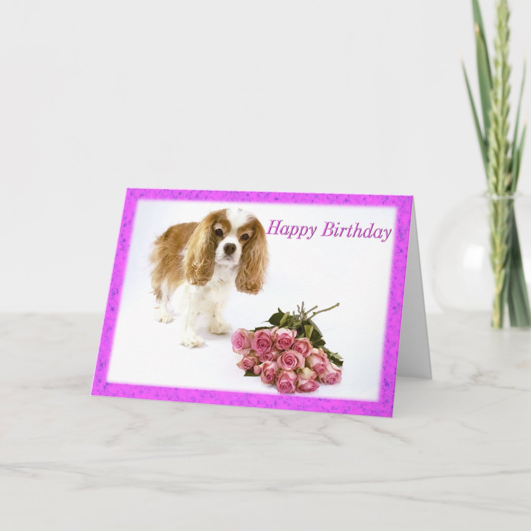 Happy Birthday Cavalier King Charles Spaniel Card | Zazzle
