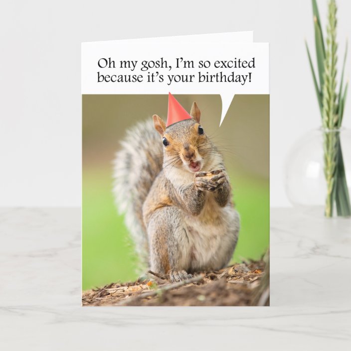 Happy Birthday Cute Squirrel in Party Hat Holiday Card | Zazzle.com.au