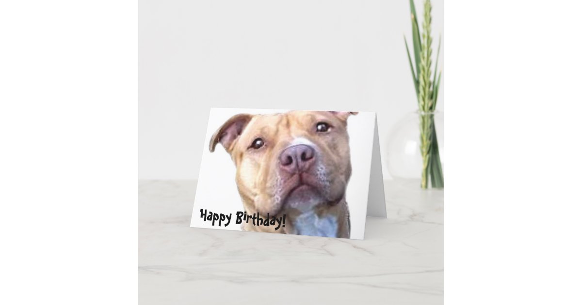Happy Birthday Pitbull greeting card | Zazzle