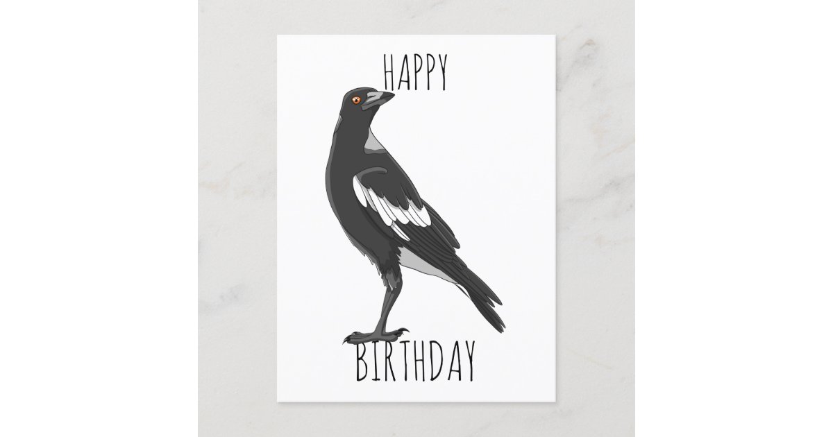 Happy Birthday postcard with Australian magpie | Zazzle
