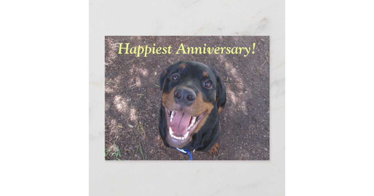 Happy Heidi Happiest Anniversary Postcard | Zazzle