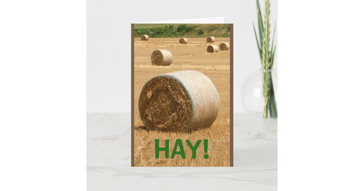 HAY! Happy Birthday Card | Zazzle