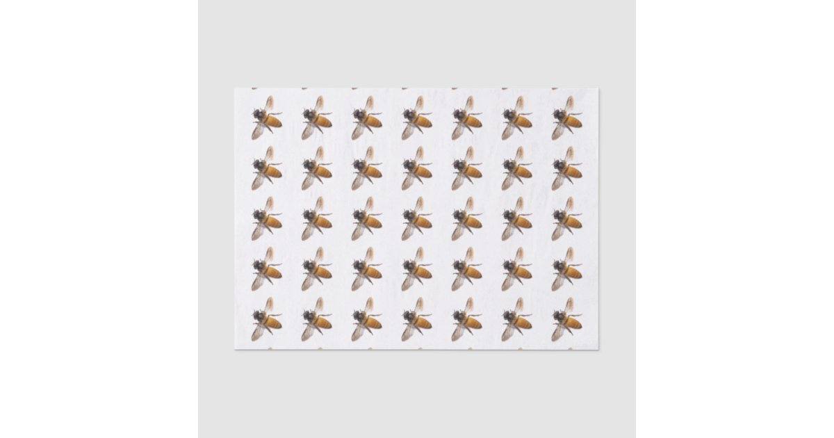 Honey Bee's Tissue Paper | Zazzle