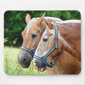 Horse Mouse Pads | Zazzle.com.au