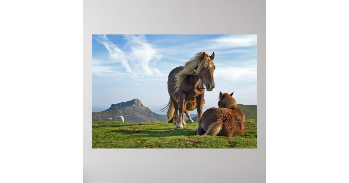 Horses Poster | Zazzle