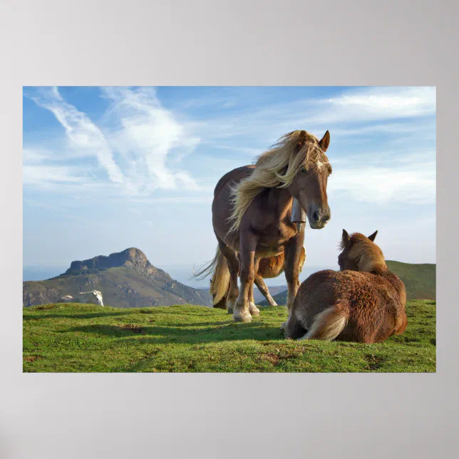 Horses Poster | Zazzle