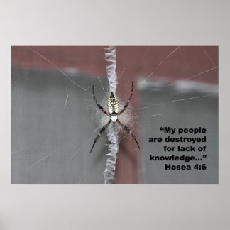 Hosea Posters, Hosea Prints