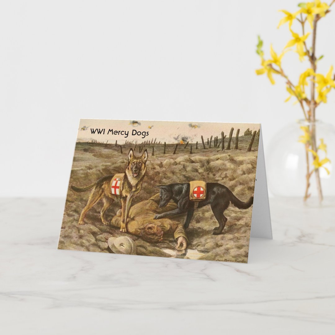 How Mercy Dogs Saved WWI Soldiers on Battlefields Card | Zazzle