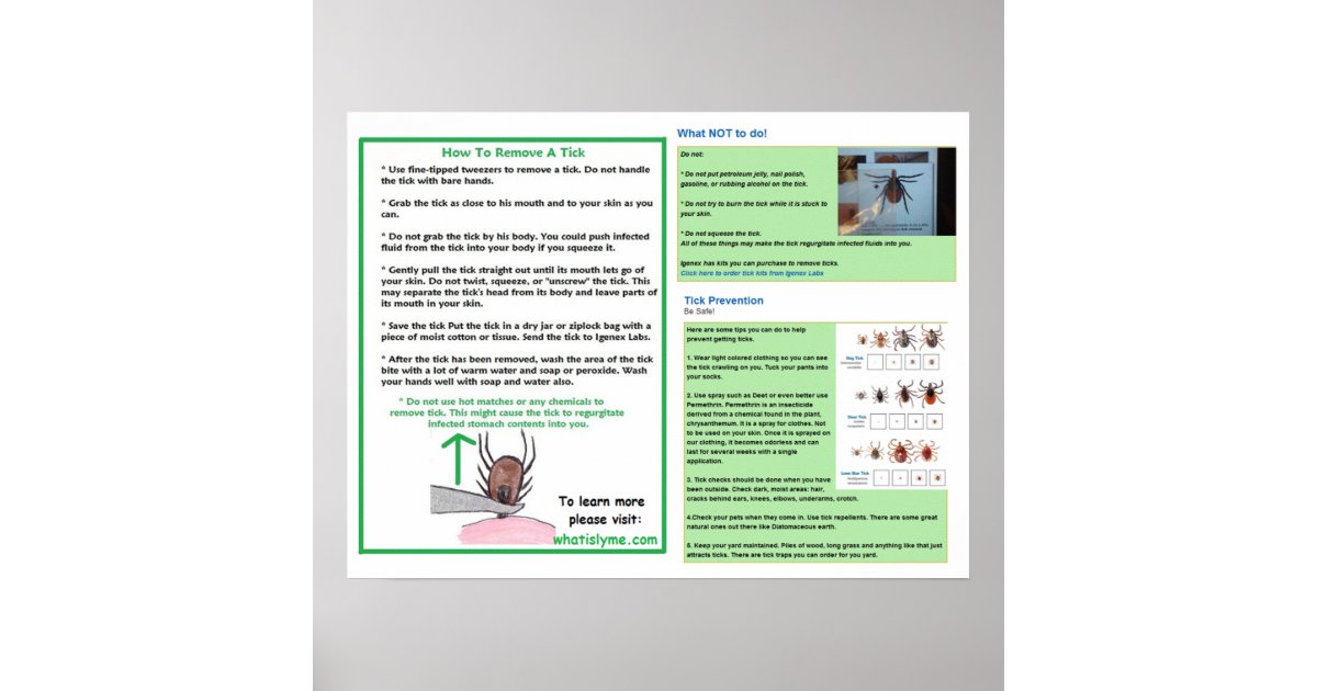 How To Remove a Tick Poster for Lyme Awareness | Zazzle