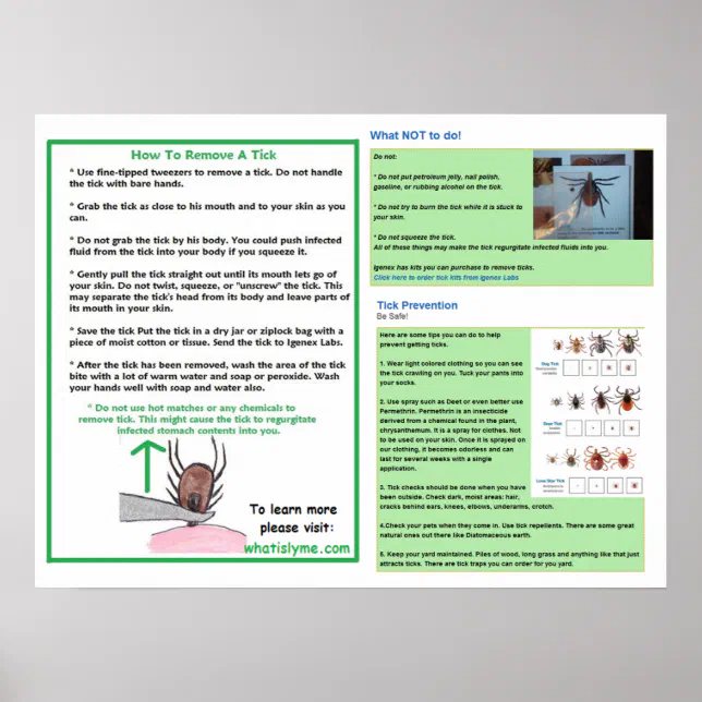 How To Remove a Tick Poster for Lyme Awareness | Zazzle