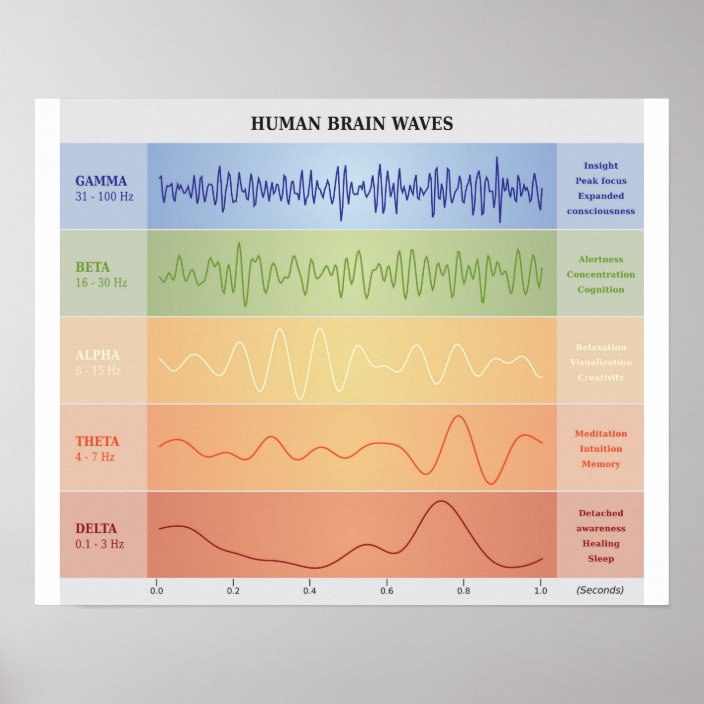 Human Brain Waves Diagram - Rainbow Colours Poster | Zazzle.com.au