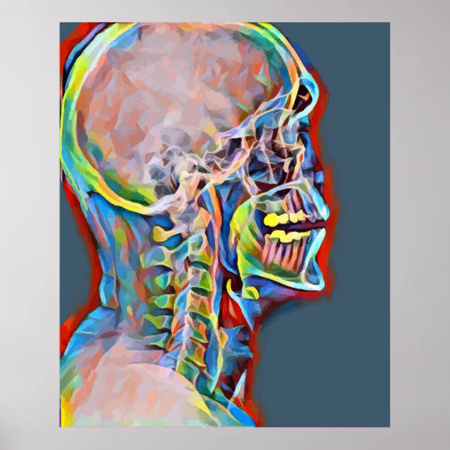 Human Skeleton Skull xray Abstract Art Poster | Zazzle