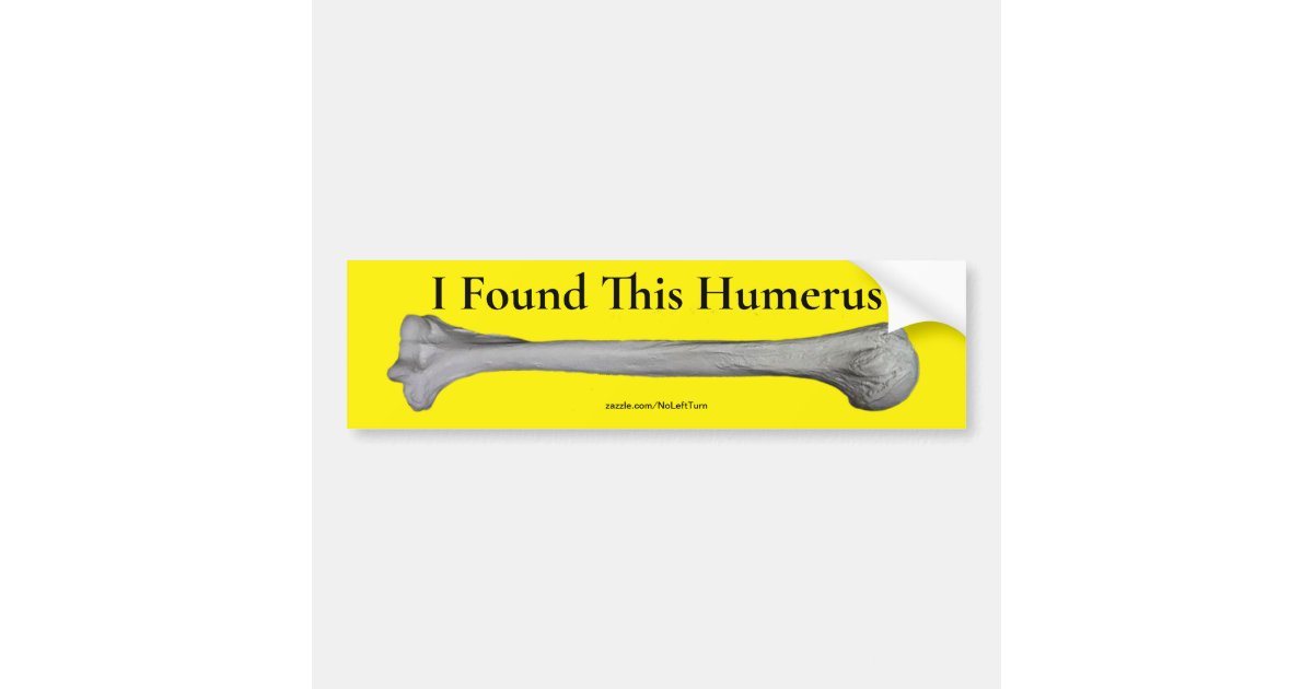 I Found This Humerus Bumper Sticker | Zazzle