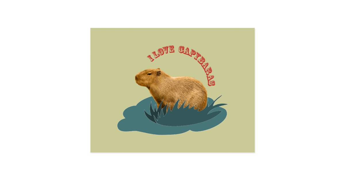 I love capybaras postcard | Zazzle.com.au