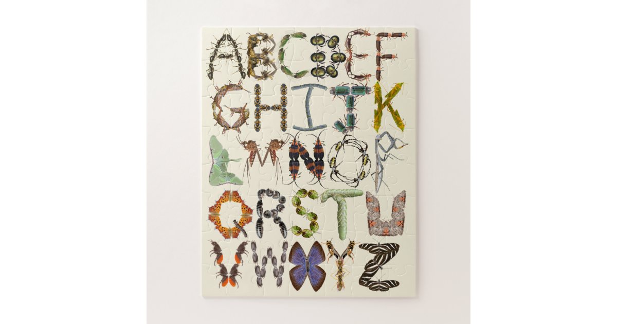 Insect Alphabet - Alphabet Bugs Jigsaw Puzzle | Zazzle