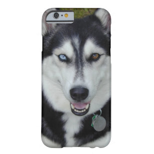 Husky iPhone Cases & Covers | Zazzle.com.au