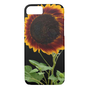 Sunflower iPhone Cases & Covers | Zazzle.com.au