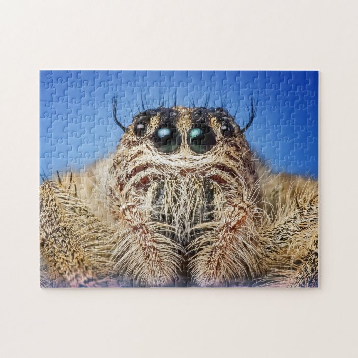 Jumping spider jigsaw puzzle | Zazzle.com.au