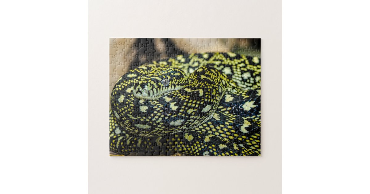 Jungle Carpet Python Snake Jigsaw Puzzle | Zazzle
