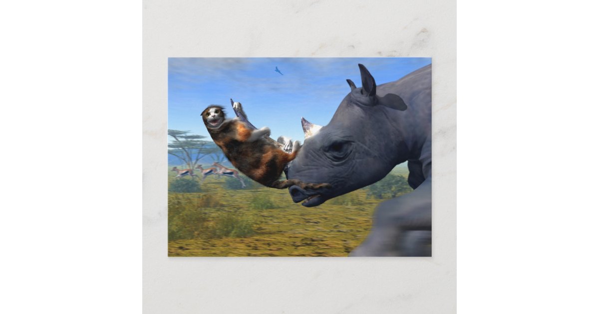 Kalahari Express Postcard | Zazzle