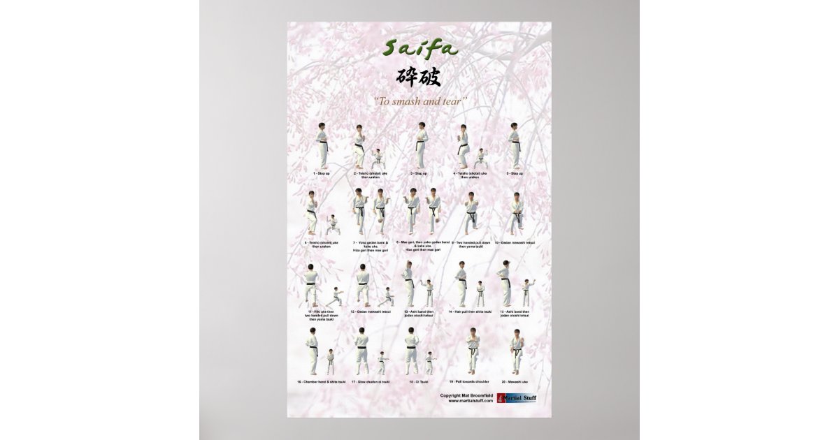Kata Saifa - Goju Ryu version Poster | Zazzle