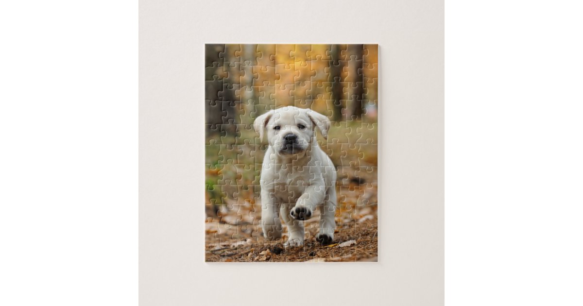 Labrador retriever puppy jigsaw puzzle | Zazzle