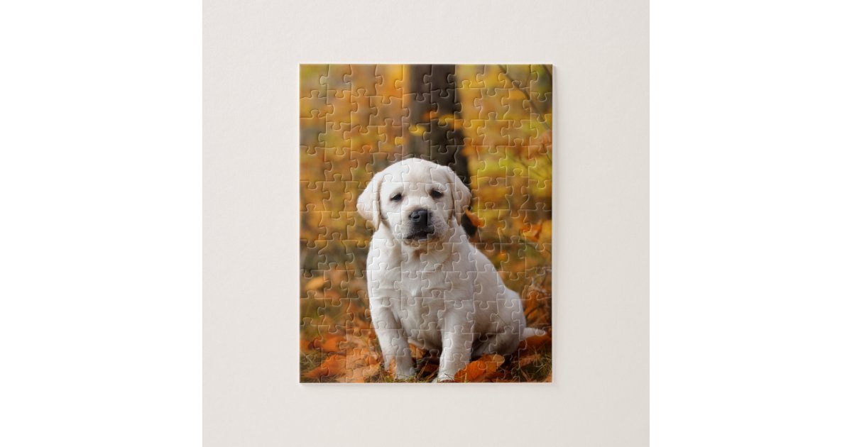 Labrador retriever puppy jigsaw puzzle | Zazzle