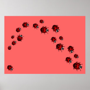 Ladybird Posters & Photo Prints | Zazzle AU